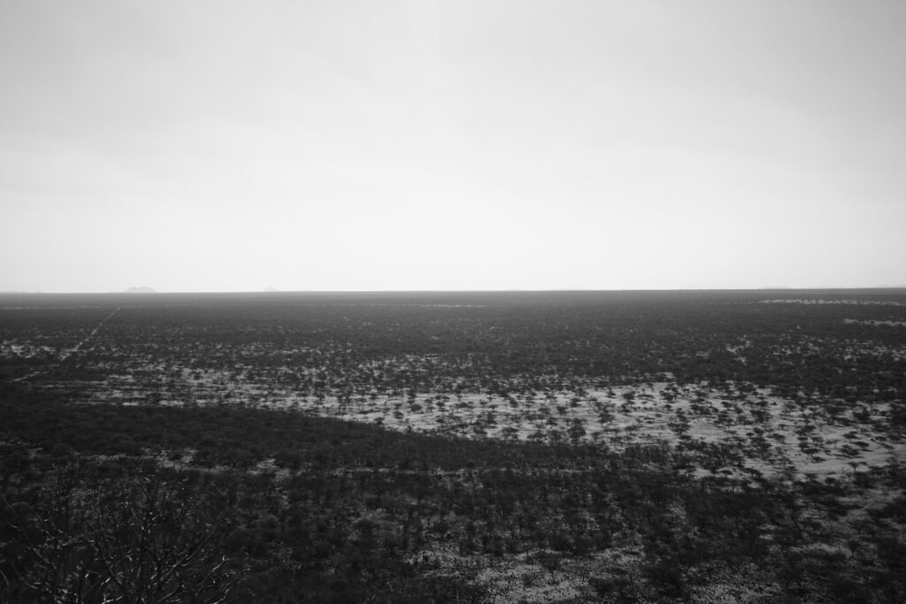 landscape nam – Jonathan Carl